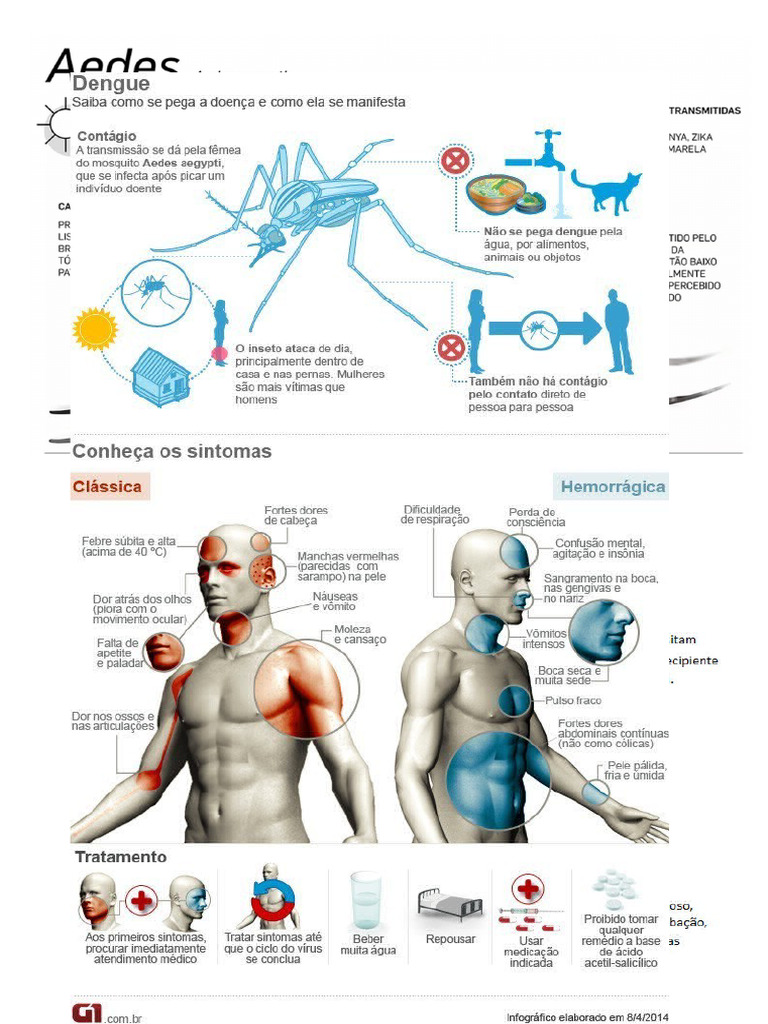 Dengue - Principais Causas Fases Da Dengue Cuidados e Prevenção | PDF