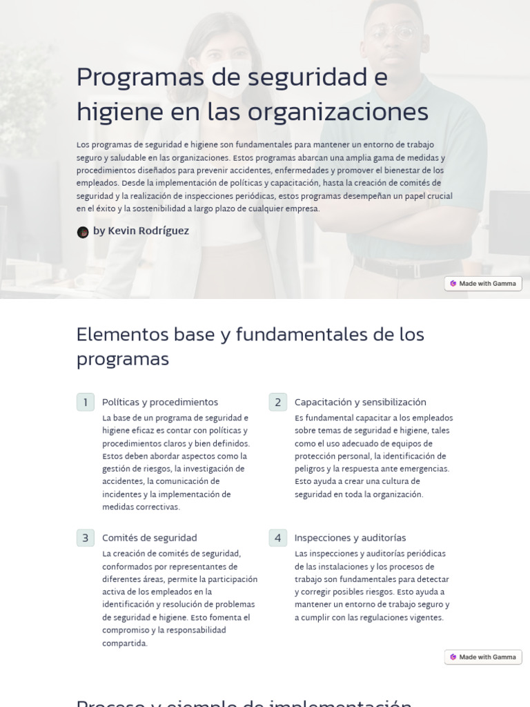 Higiene y Seguridad | PDF | Valores | Business