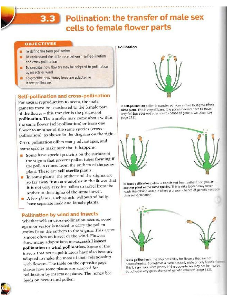 Biology Textbook | PDF