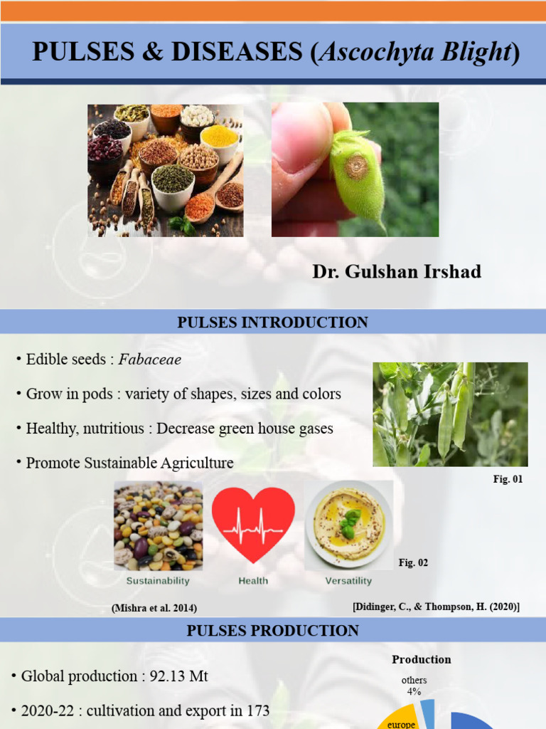 Ascochyta Blight in Chickpeas: Overview | PDF | Branches Of Botany ...