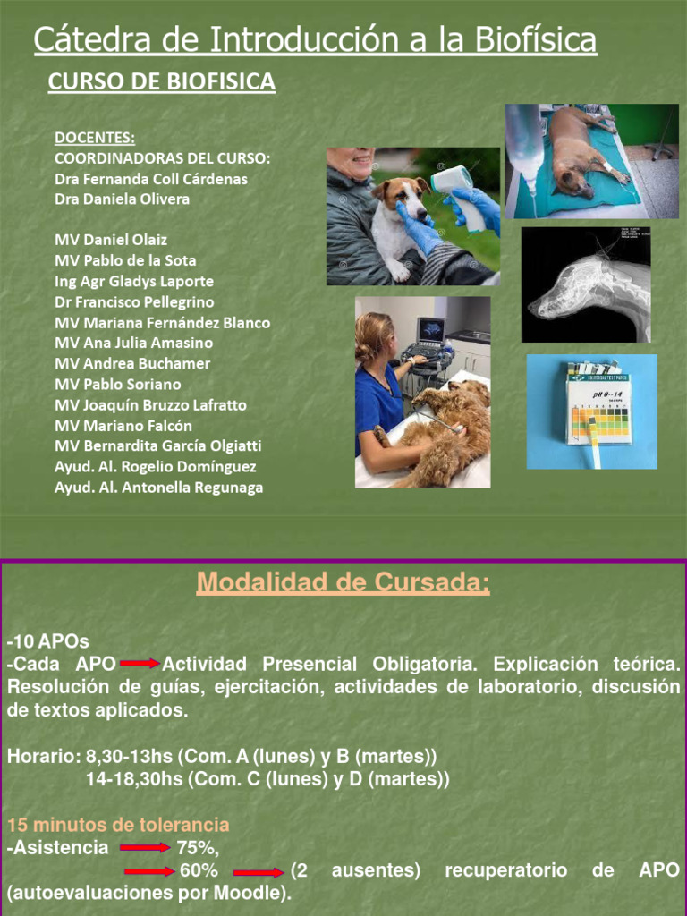 APO 1 Presentación Biofisica | PDF | Kilogramo | Masa