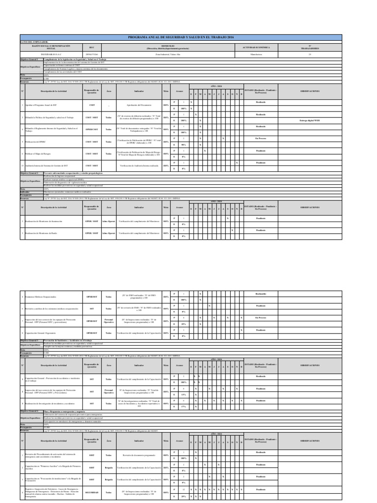 Programa Anual de Seguridad y Salud en El Trabajo Grupal | Descargar gratis PDF | Seguridad y ...