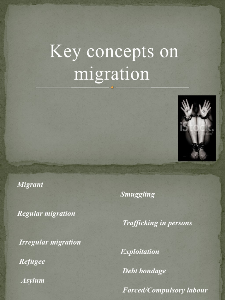 Key Terms | PDF | Human Migration | Refugee