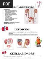 Obstrucción y Estasis Urinaria: Diagnóstico y Tratamiento | PDF ...