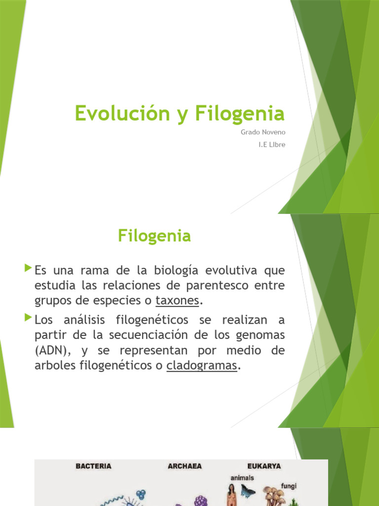 Evolución y Filogenia | PDF | Filogenética | Evolución