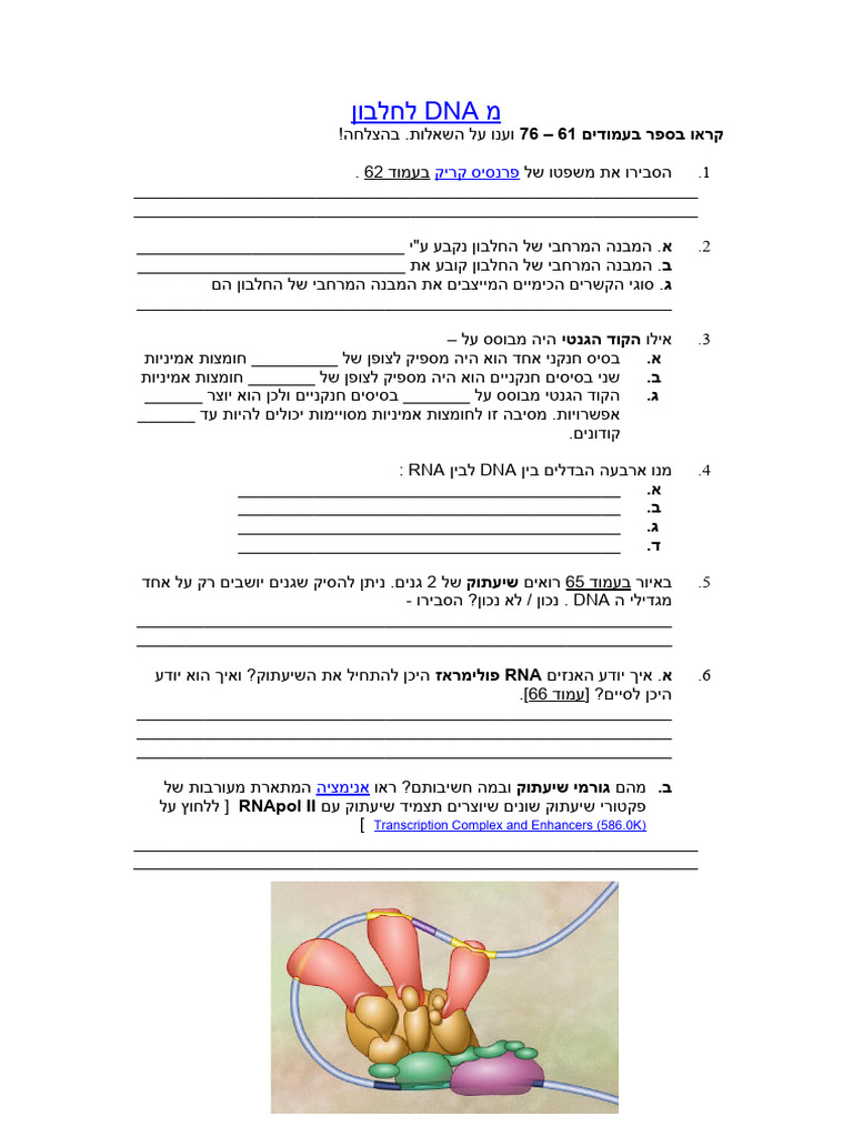 Medna Protein Vali | PDF