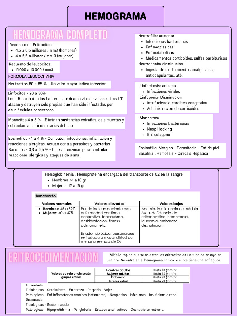 Documento A4 Organizador Tareas Simple Multicolor | PDF | Leucocito | Especialidades Medicas