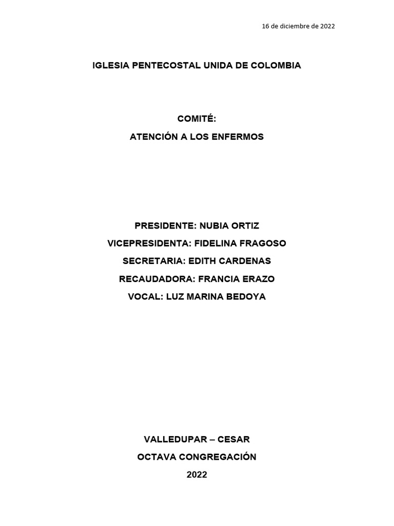 Informe Final Ipuc | PDF