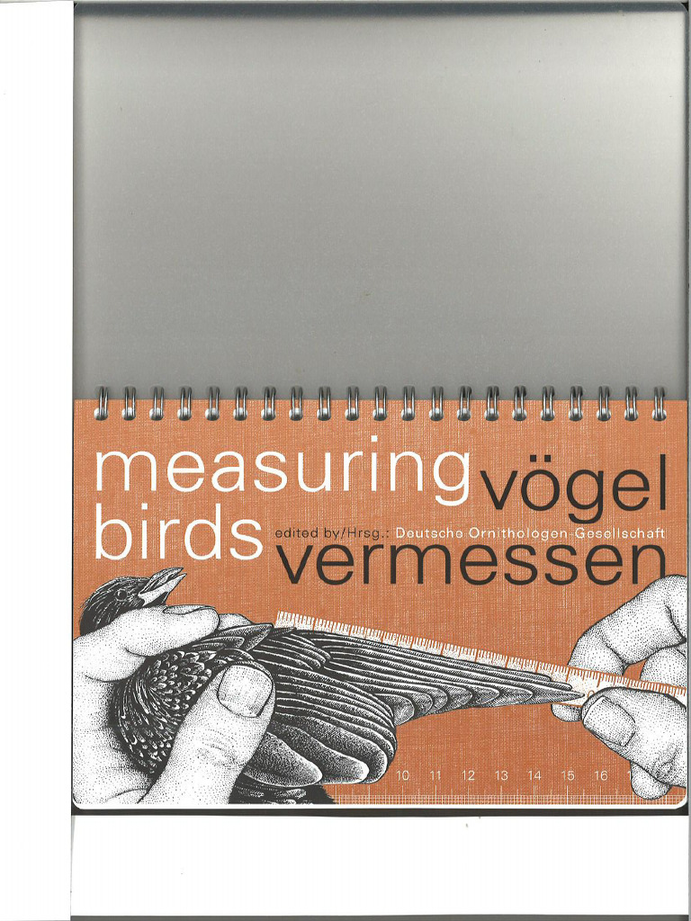 Measuring Birds Scan | PDF