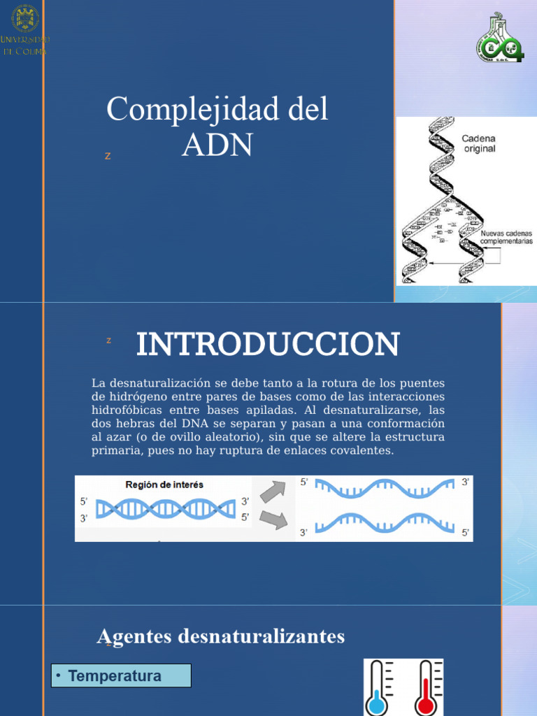 Complejidad Del ADN | PDF | Adn | Desnaturalización (bioquímica)