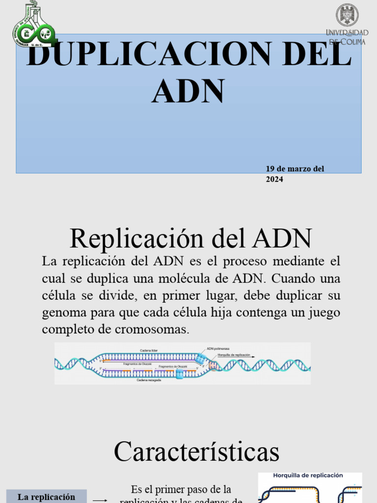 Duplicacion Del ADN | Descargar gratis PDF | Replicación De Adn | Adn