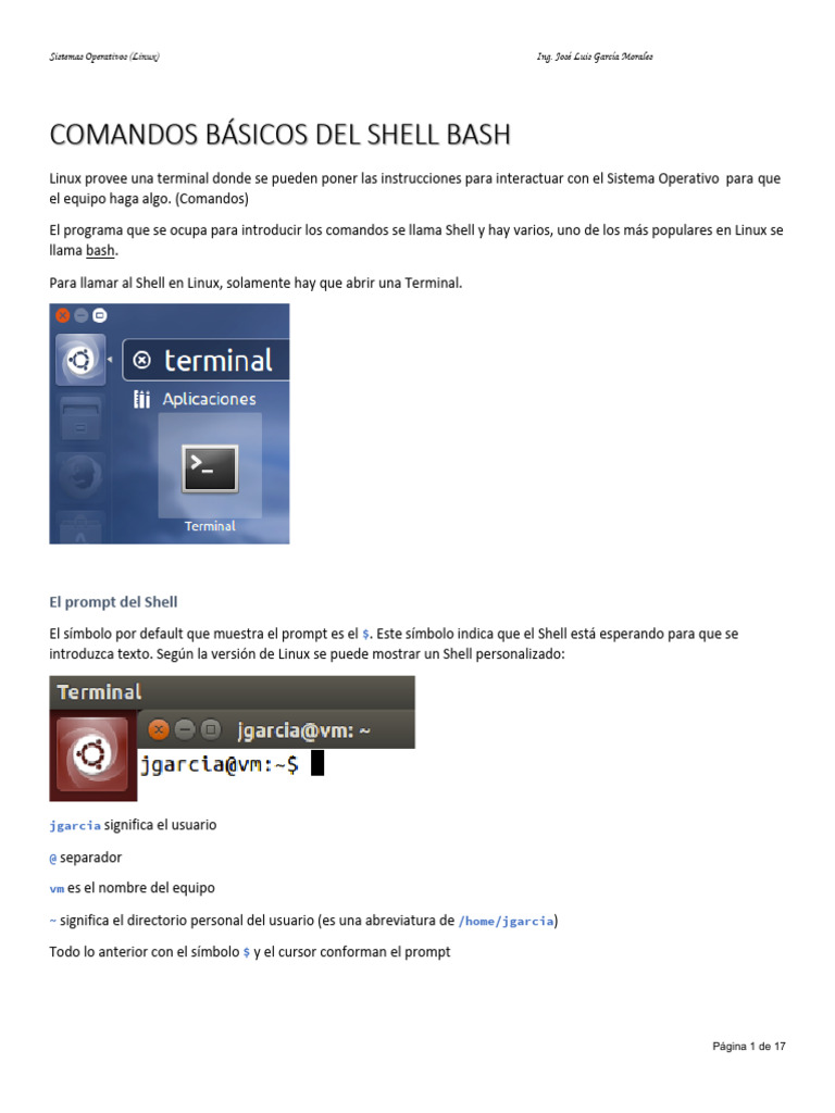 1.1 Comandos Básicos Del Shell Bash | PDF | Archivo de computadora | Interfaz de línea de comando