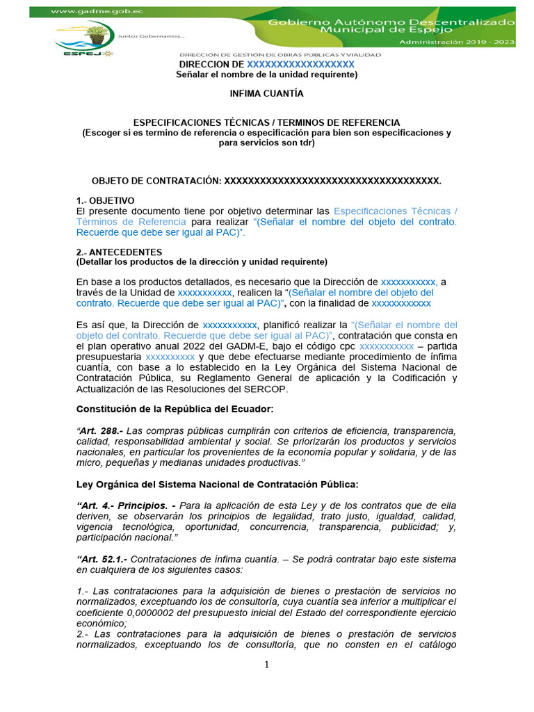 Formato TDR o Especificaciones Tecnicas | PDF | Presupuesto | Turismo