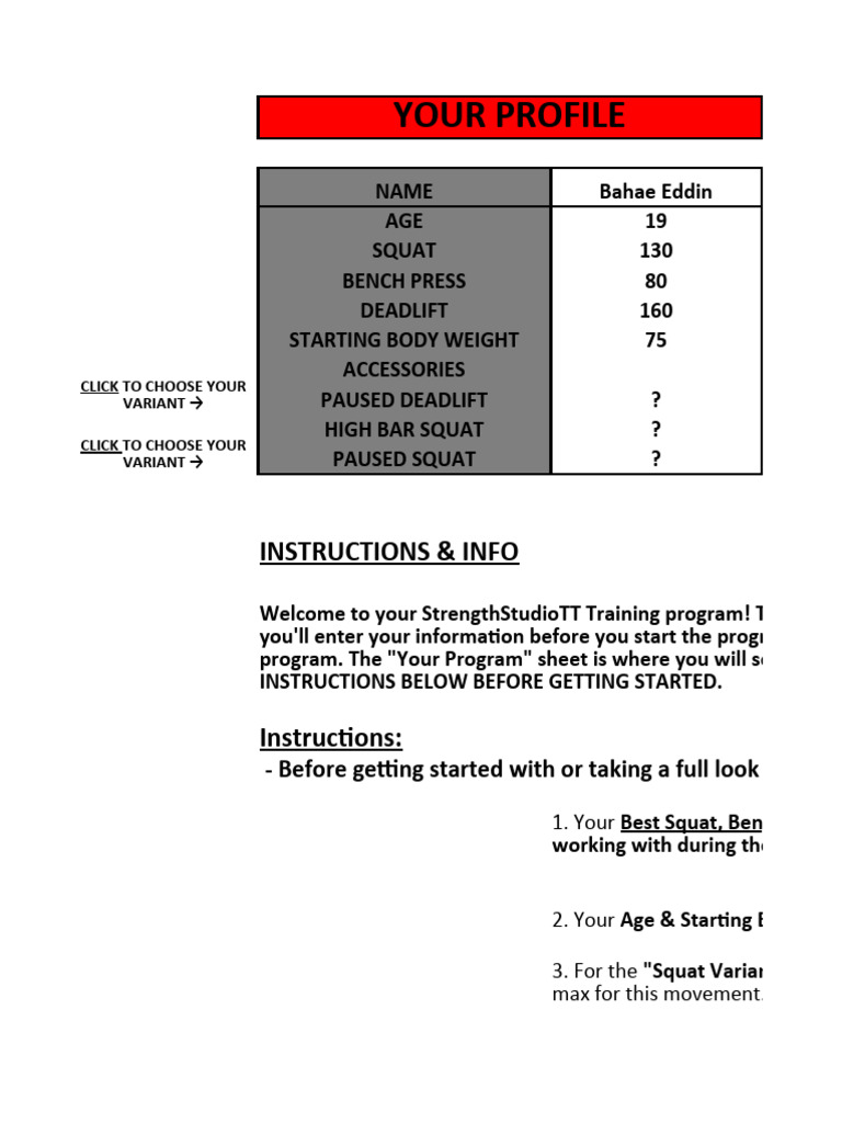 Strength Training Profile & Program | PDF | Physical Fitness | Strength ...