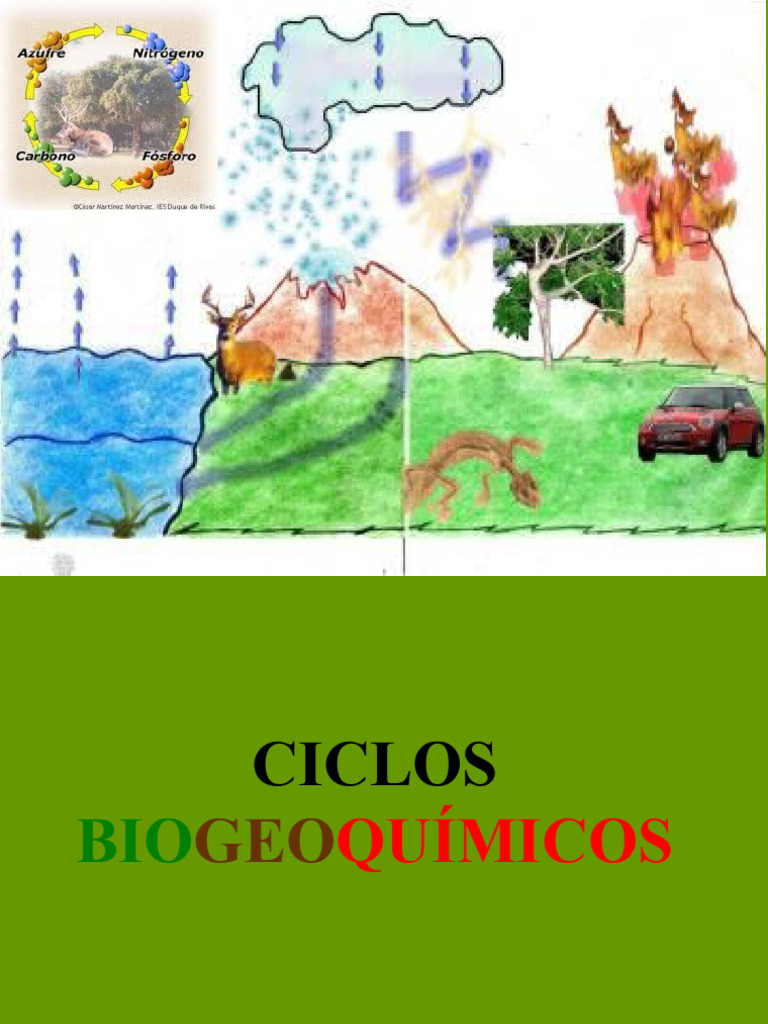 Ciclos Bio Geoquimicos | PDF | Ddt | Nitrógeno