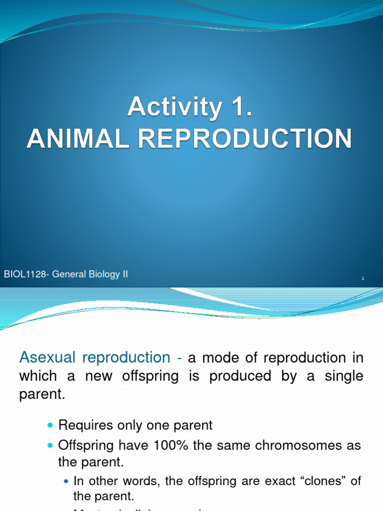 Activity 1 Animal Reproduction | PDF | Reproduction | Sexual Reproduction