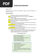 Curso de Informe Policial Homologado | PDF