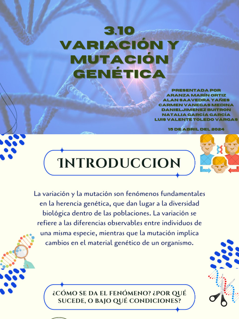 EQUIPO 3, Variacion y Mutacion. | PDF | Mutación | Recombinación genética