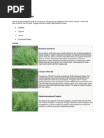 Forage Grasses and Legumes List | PDF | Legume | Clover