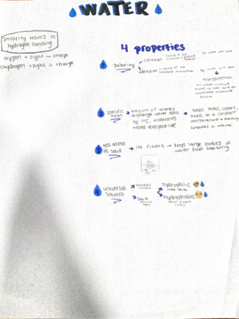 Chemistry of Life - Properties of Water | PDF