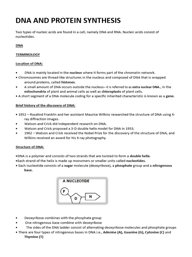 DNA LJRNA AND PROTEIN SYNTHESIS (AutoRecovered) (AutoRecovered) | PDF ...
