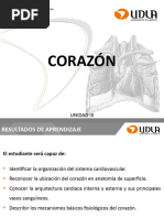 Función y Ubicación del Plexo Cardíaco | PDF
