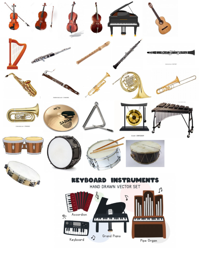 Instrument Os | PDF