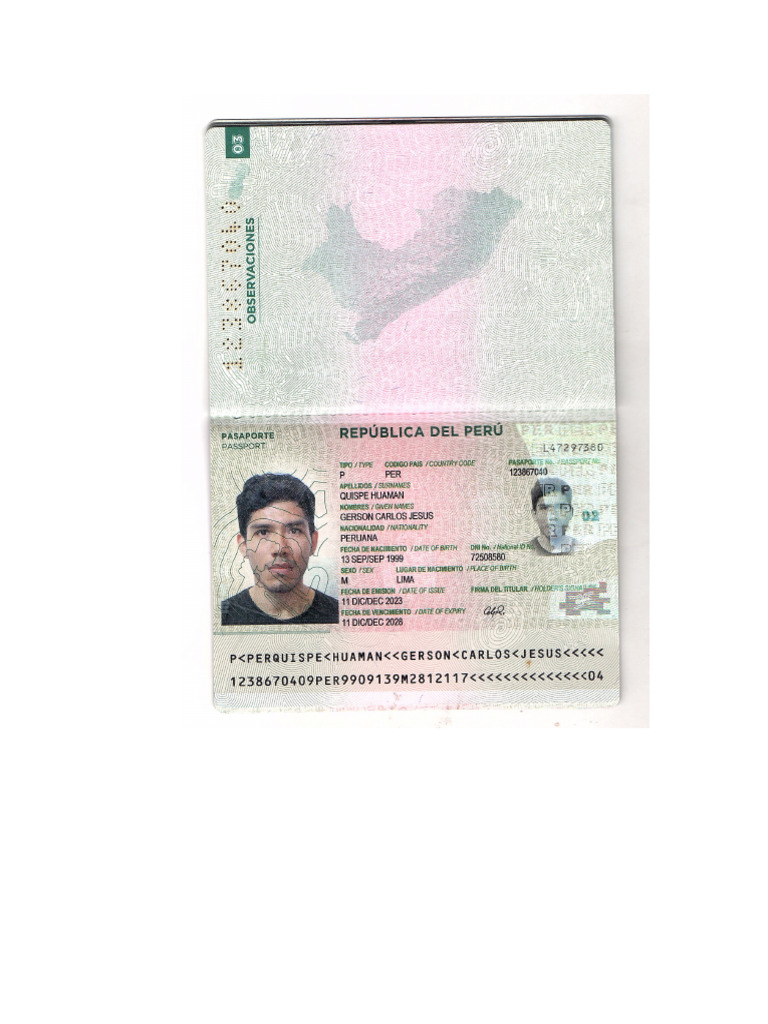 Pasaporte 1 | PDF