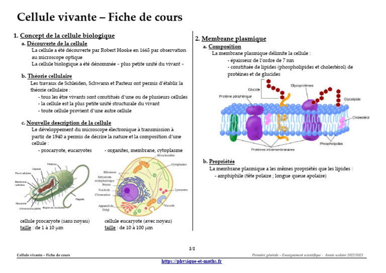 Fiche de cours sur la cellule vivante | PDF | Cellule (Biologie ...