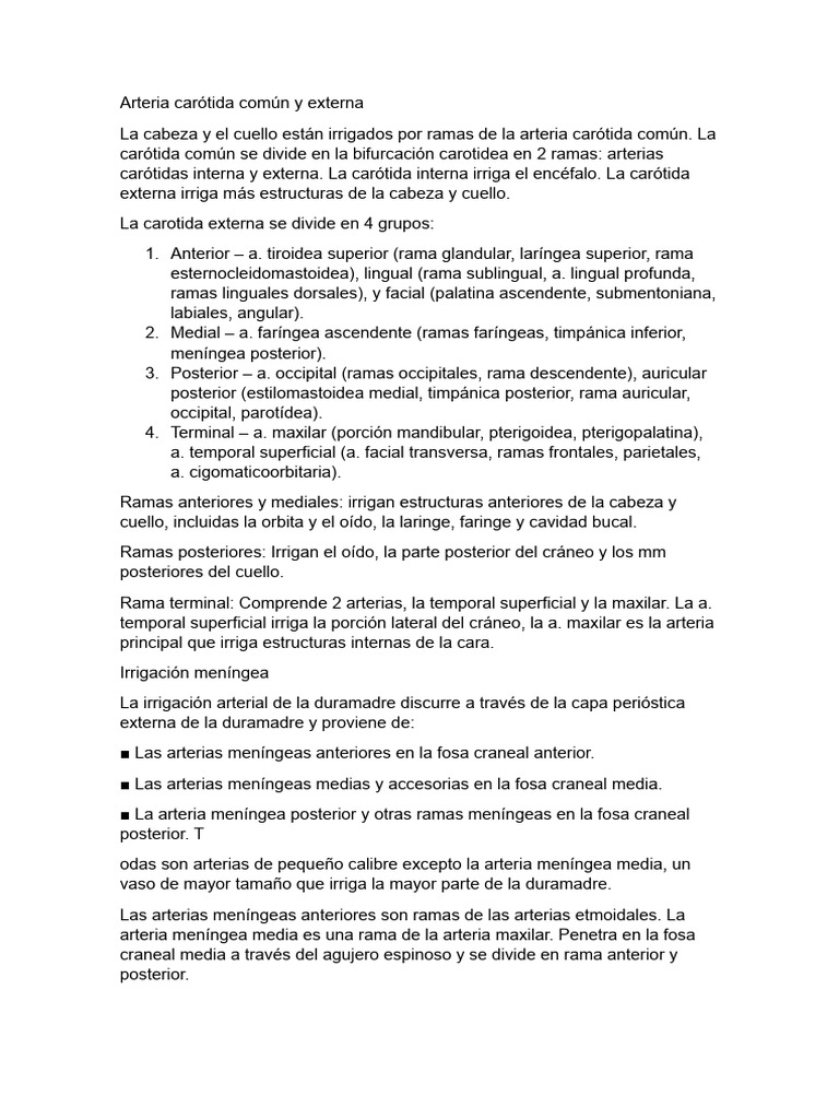 Arteria Carótida Común y Externa | Descargar gratis PDF | Cráneo ...