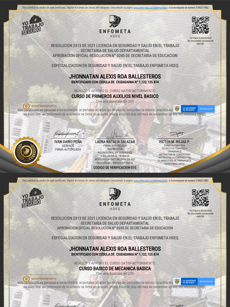 Cursos Basicos... | PDF | Documento de identidad