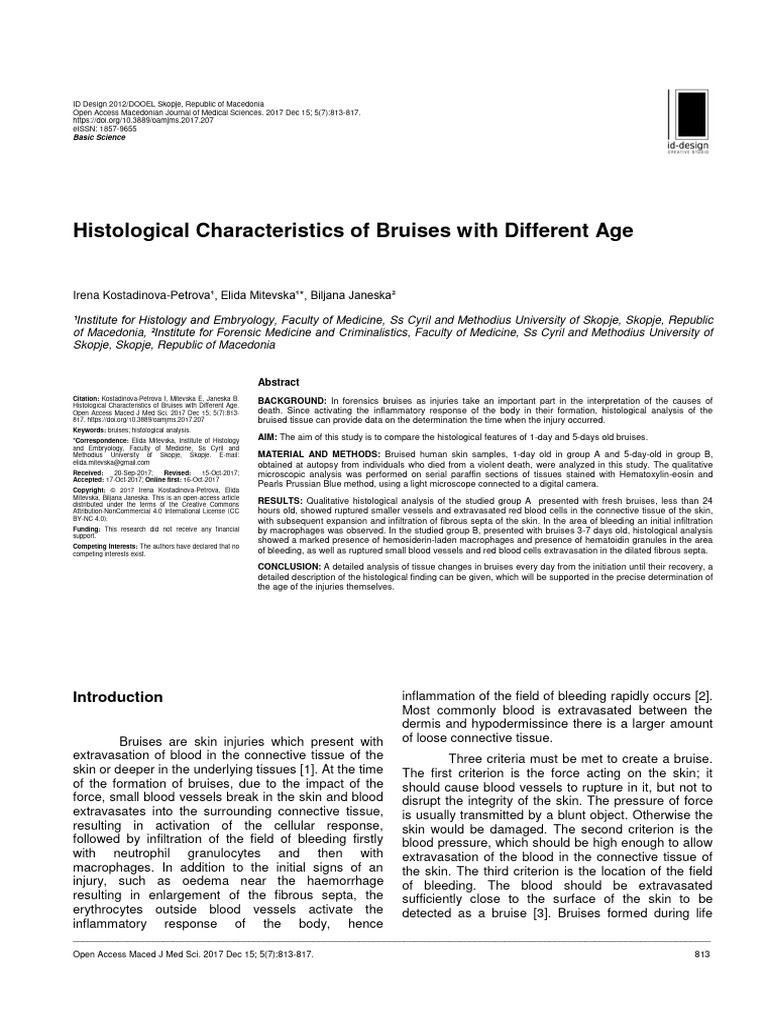 Histological Characteristics of Bruises With Different Age | PDF ...