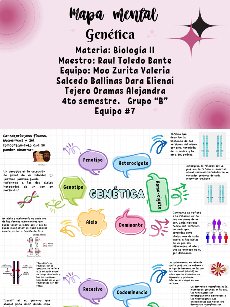 Mapa Mental Genética | PDF | Alelo | Dominancia (Genética)
