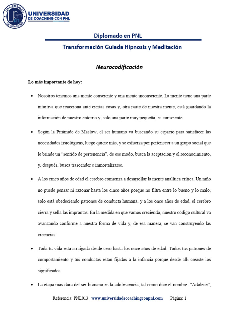 Cuaderno de Trabajo-Día 4-PNL013-Neurocodificacion-Códigos Culturales ...