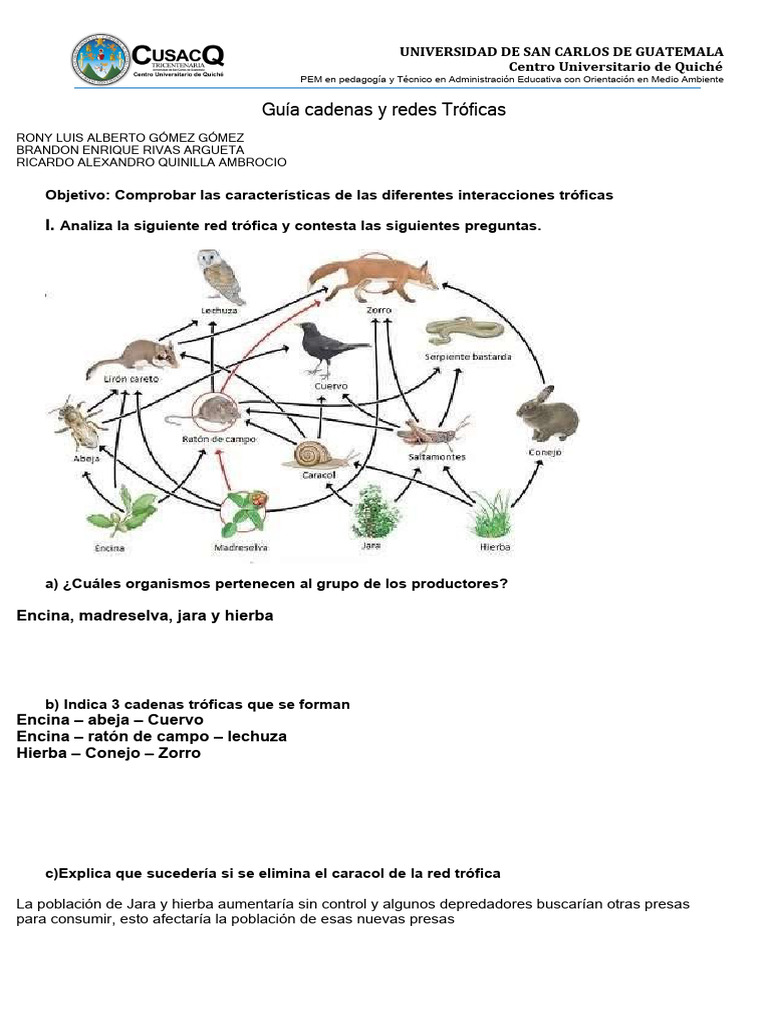 Redes Troficas | PDF | Red alimentaria | Naturaleza