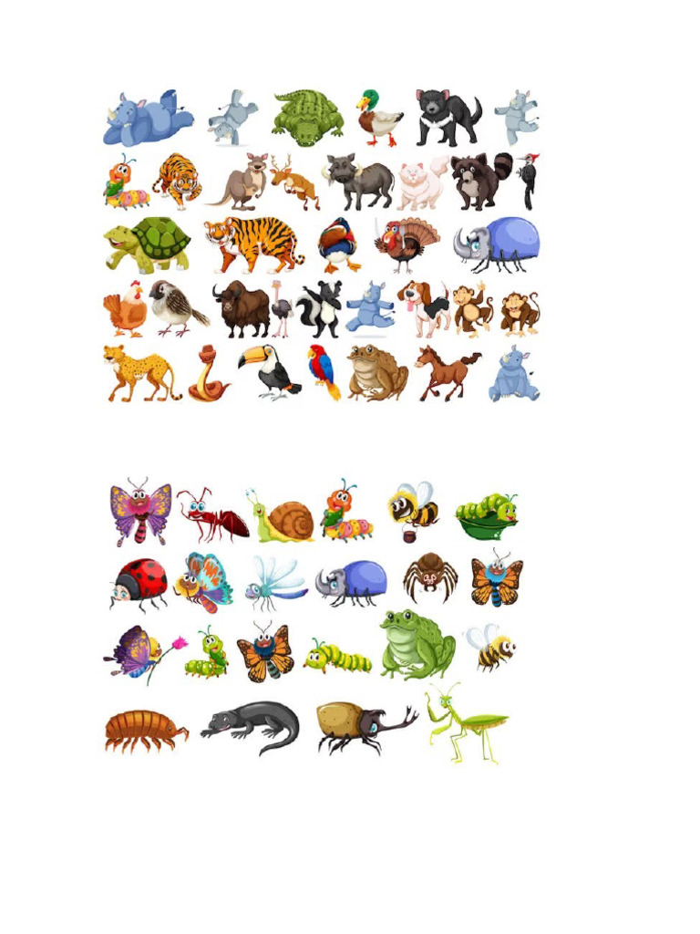 Animales Invertebrado | PDF