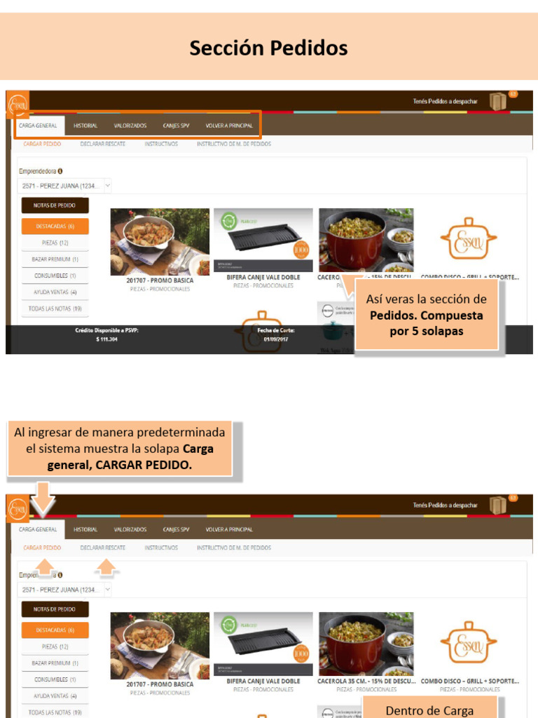 Instructivo Pedidos | PDF | Informática | Software