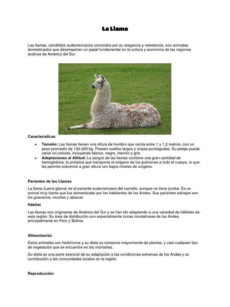 Llama | PDF | Zoología
