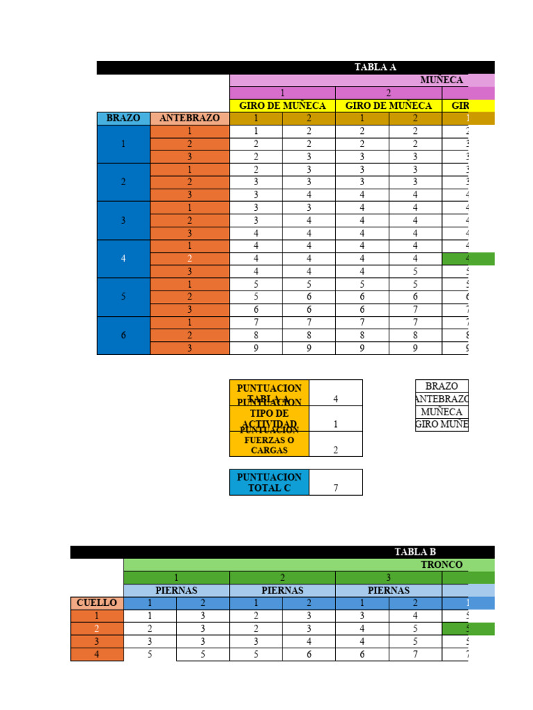 METODO RULA Ejemplo | Descargar gratis PDF | Sistema musculoesquelético ...