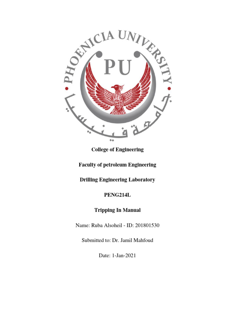Tripping In Procedure for Drilling Operations | PDF | Pipe (Fluid ...