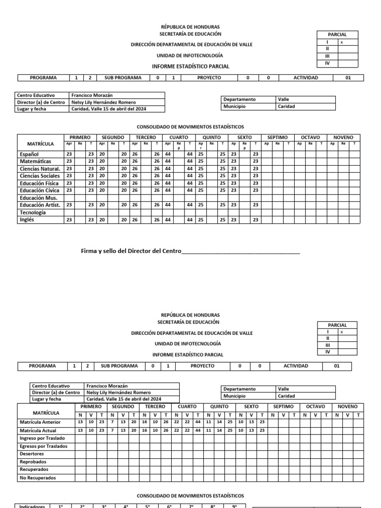 Informe Estadistico Parcial 2024 | PDF