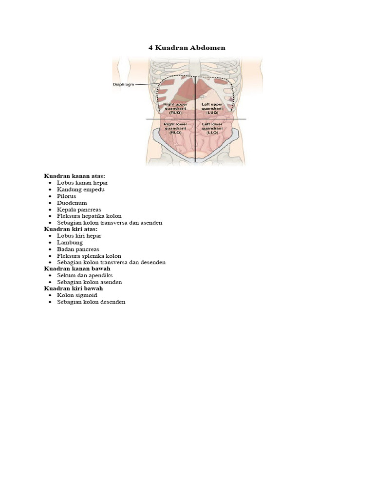 4 Kuadran Abdomen | PDF