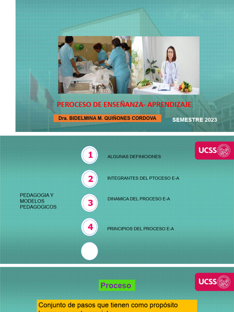 Proceso de Enseñanza-Aprendizaje 2023 | PDF | Aprendizaje | Enseñando