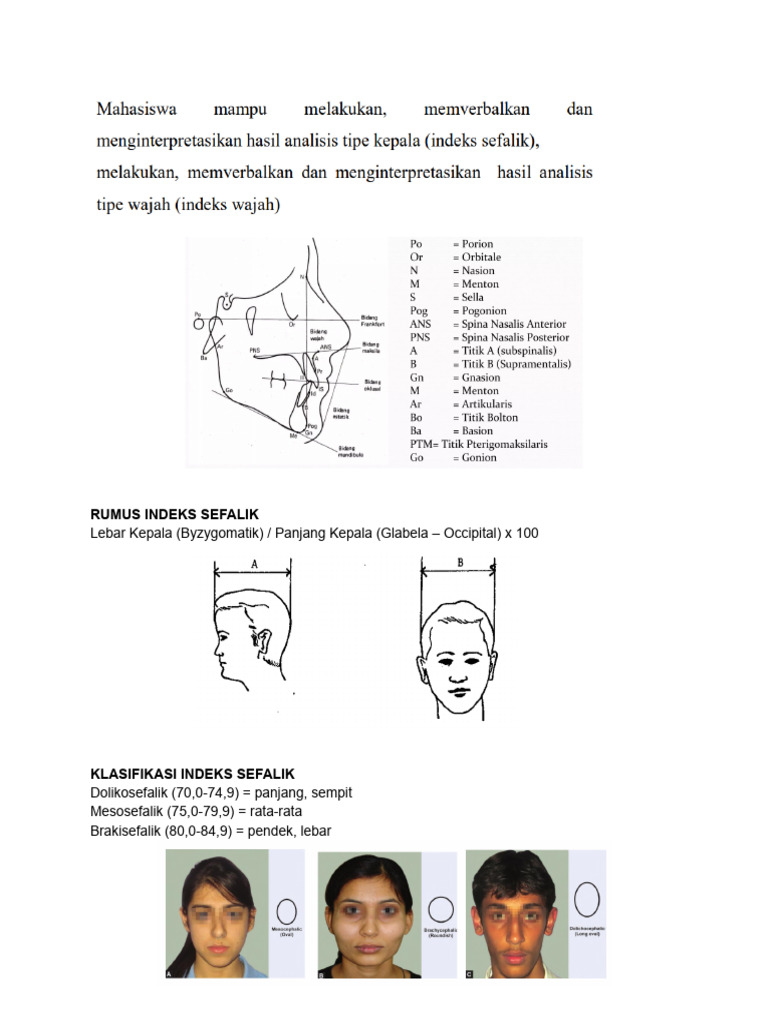 Indeks Sefalik dan Tipe Wajah | PDF