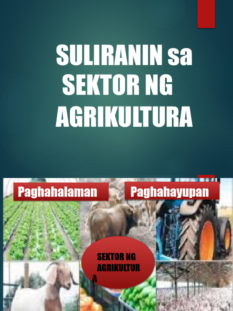G9 AP Q4 Week 4 Suliranin NG Sektor NG Agrikultura | PDF