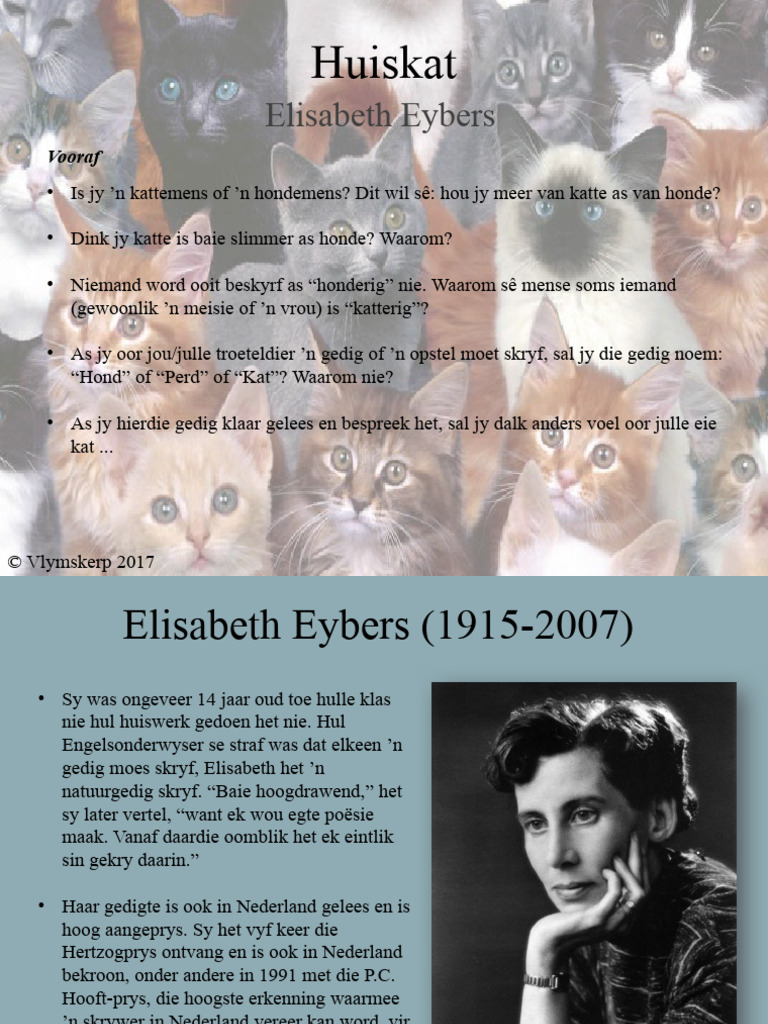 Vlymskerp EAT PPT Huiskat | PDF