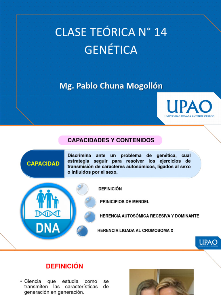 Genética | PDF | Dominancia (Genética) | Alelo