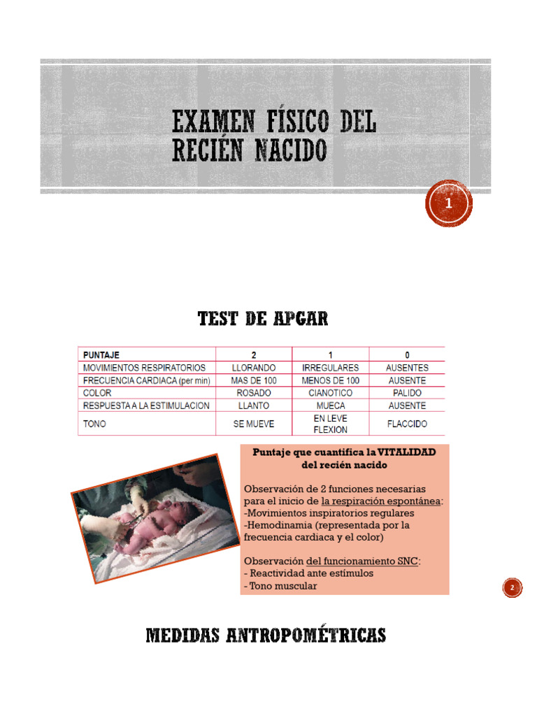 Examen Fisico Del Recien Nacido | PDF | Abdomen | Tórax