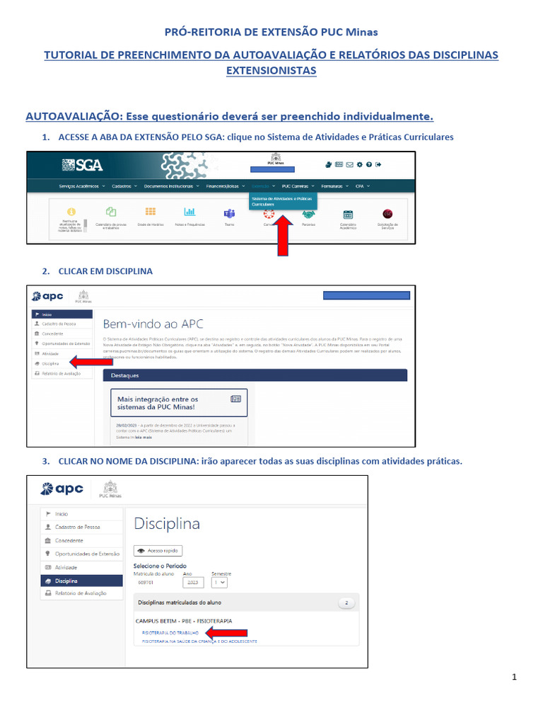 Tutorial de Autoavaliação PUC Minas | PDF | Informática
