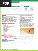 2 Microscope Letter e Lab Handout This One | PDF | Microscopy | Glass ...